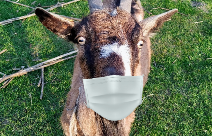 Welkom bij het Plattelandscentrum ! | Plattelandscentrum